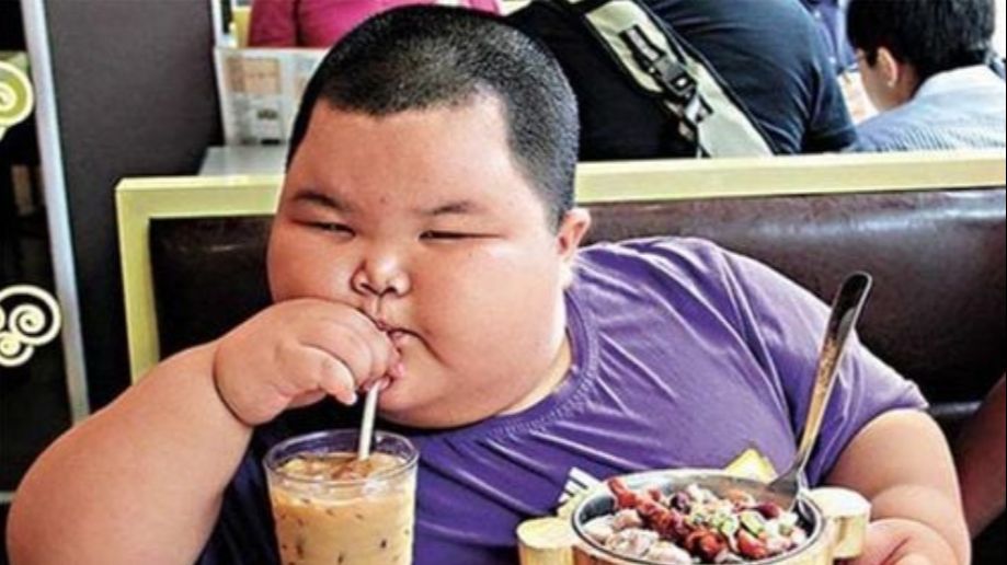 Obesity – causes, consequences and prevention solutions | qiqixie