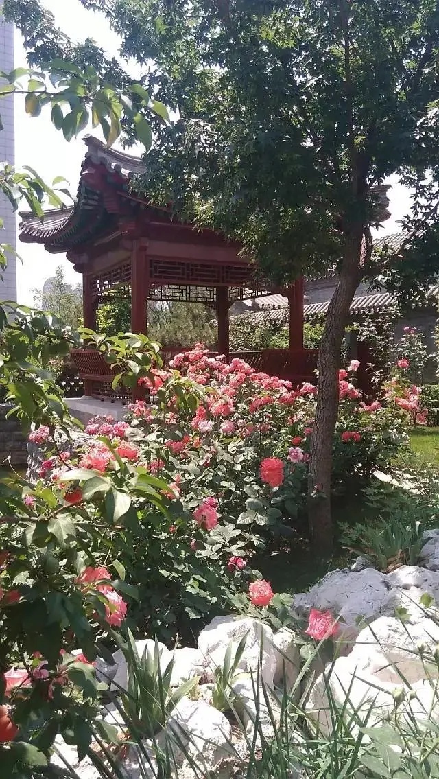 The teacher-student relationship between Li Shutong and Feng Zikai, a ...